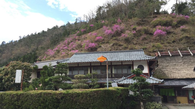 zenkei | 美山の観光 古民家の宿｜料理旅館きぐすりや